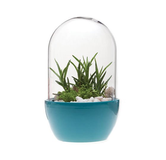 Colourful contemporary plant containers from Chive • Colourful ...