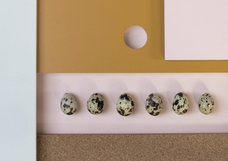 Pluck: contemporary bespoke kitchens, handmade in London • Colourful ...